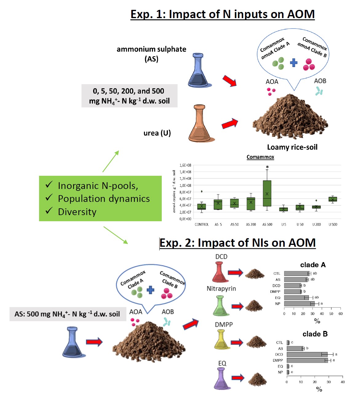 Nitrification inhibitors impose distinct effects on comammox bacteria ...